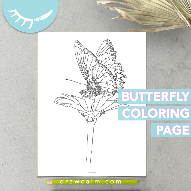 morpho butterfly coloring page