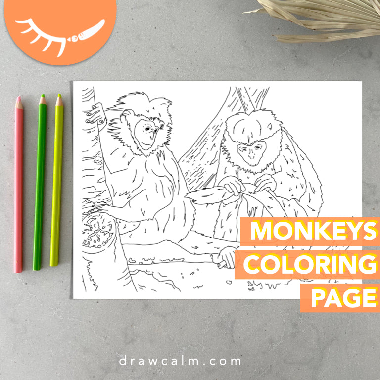 coloring page orangutan