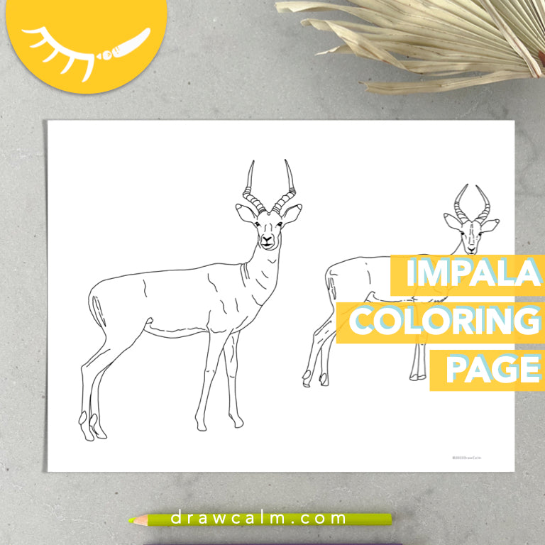 impala coloring