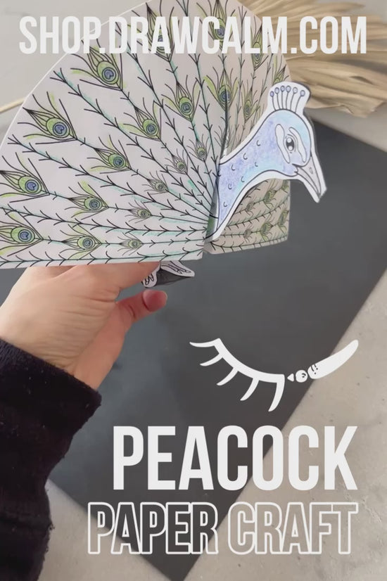 Peacock Craft for Kids │ Peacock Coloring Page – Draw Calm