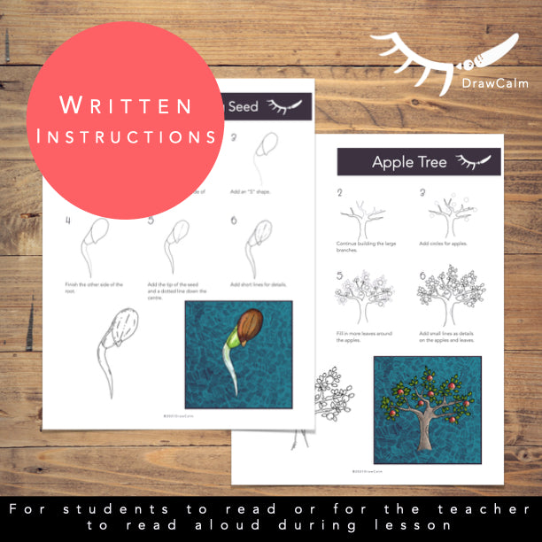Apple Tree Life Cycle │ Fruit Life Cycle Directed Drawing │Apple Art ...