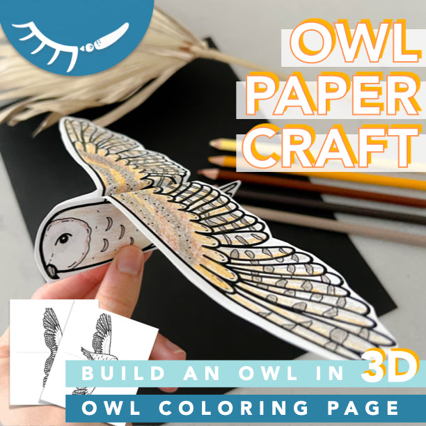 Printable Owl Craft │ Owl Coloring Sheet – Draw Calm