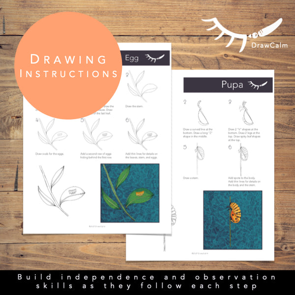 Ladybug Life Cycle Activity – Draw Calm