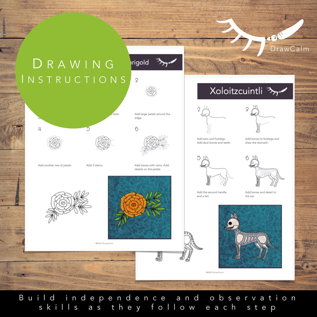 Day of the Dead Art Activities | El Día de los Muertos Directed Drawin ...