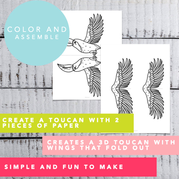Toucan Craft | Zoo Animals Craft | Toucan Coloring Page | Rainforest A ...